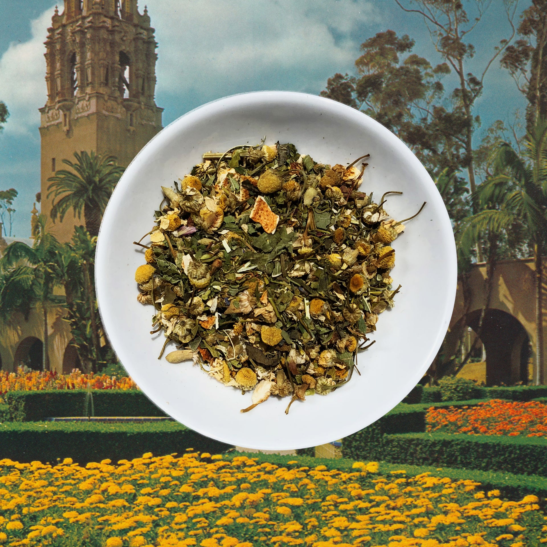 All – Flowerhead Tea
